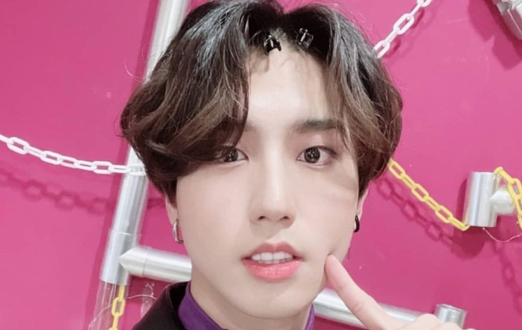 Stray Kids' Han is the biggest fan of this adorable anime character
