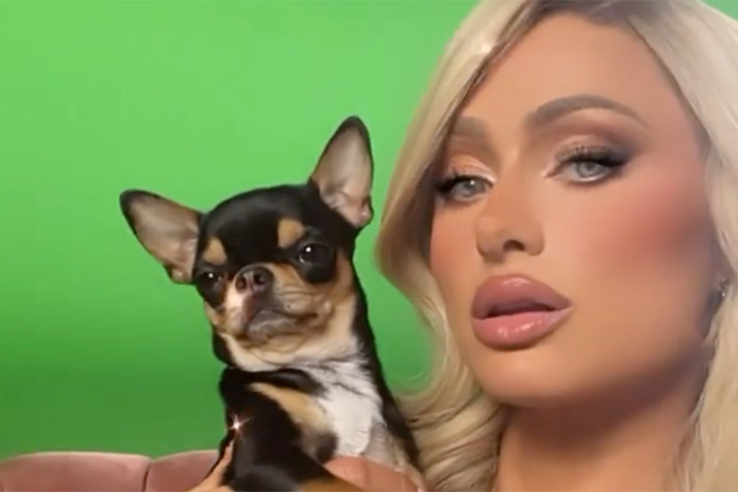Paris Hilton loses her dog and hires detectives and mediums to find him
