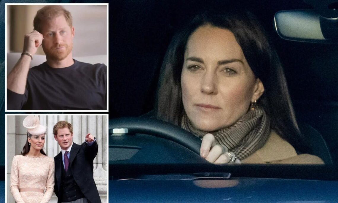 Kate Middleton causes concern after appearing extremely thin, could be ill