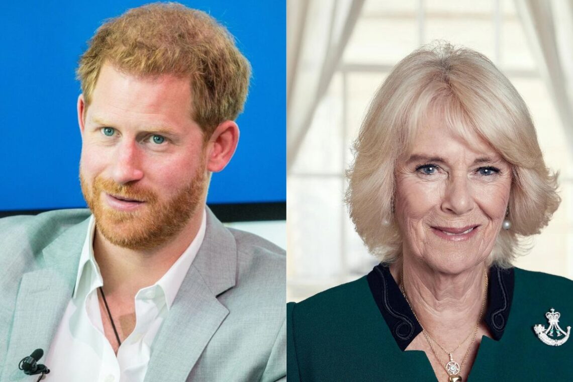 Prince Harry has a troubled relationship with Camilla Parker