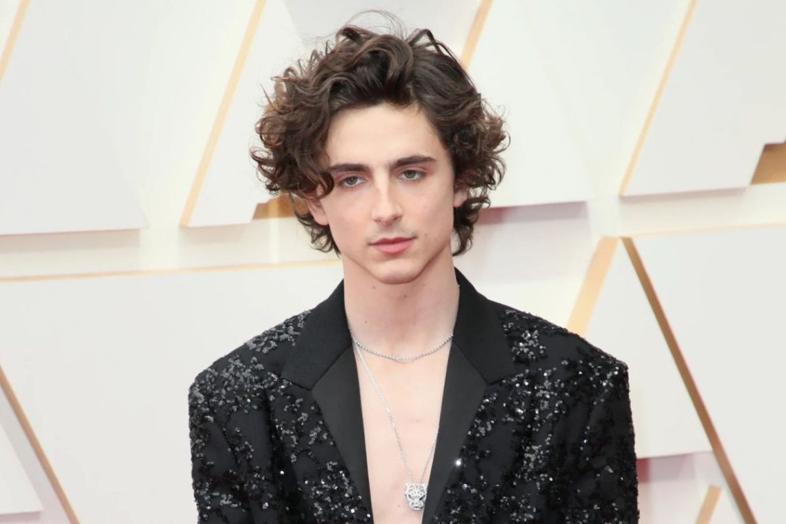 Timothée Chalamet will play one of the most epic characters in this new ...