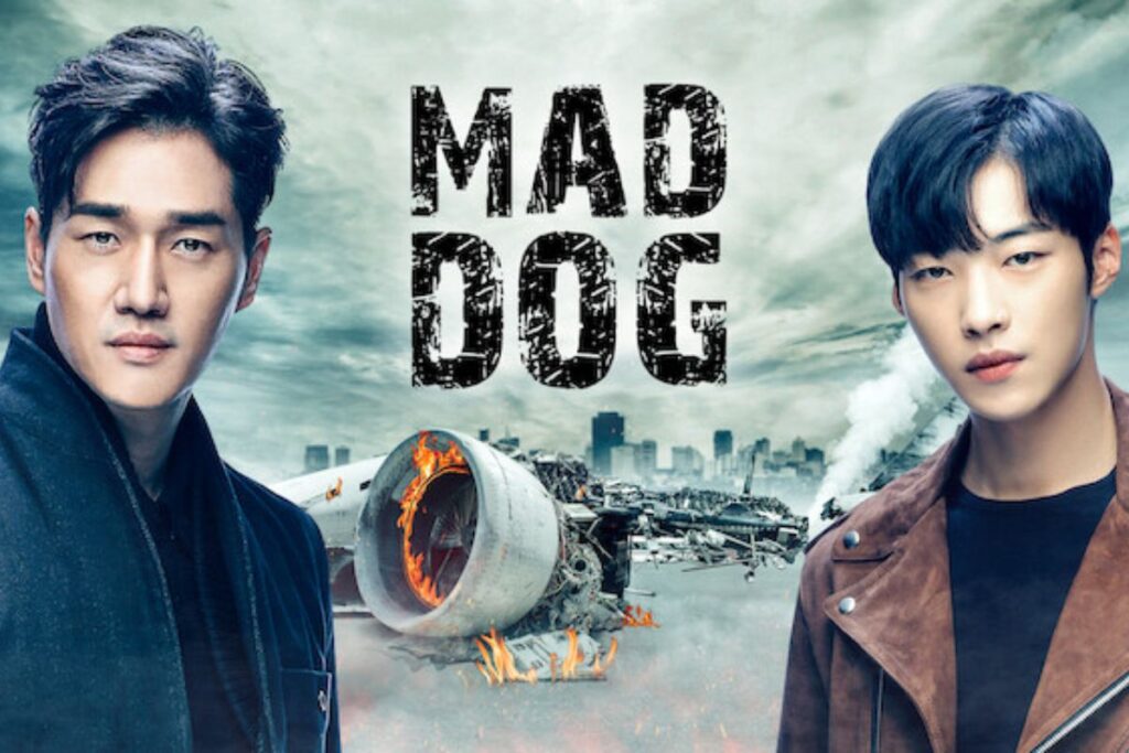 Mad Dog is the k-drama that has just arrived on Netflix and has amazed ...
