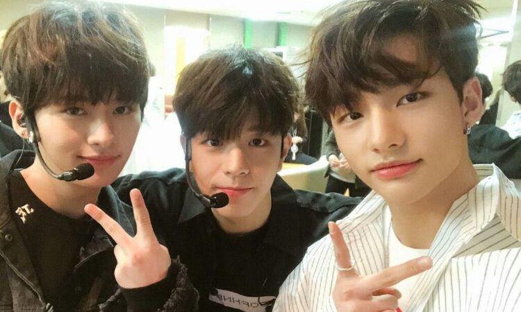 Stray Kids' Lee Know, Hyunjin, and Seungmin were put on hiatus after car accident