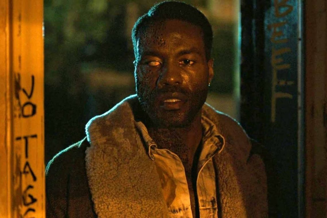 Candyman: The horror movies you can't miss this Halloween