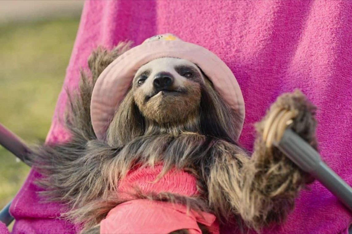 Slotherhouse, one of the best horror movies with a vengeful sloth