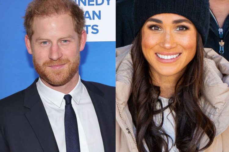 Prince Harry and Meghan Markle’s children adopt the Sussex title