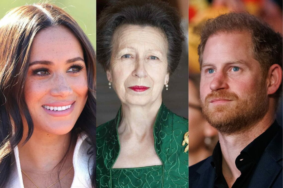 Princess Anne could be the peacemaker for Prince Harry and Meghan ...