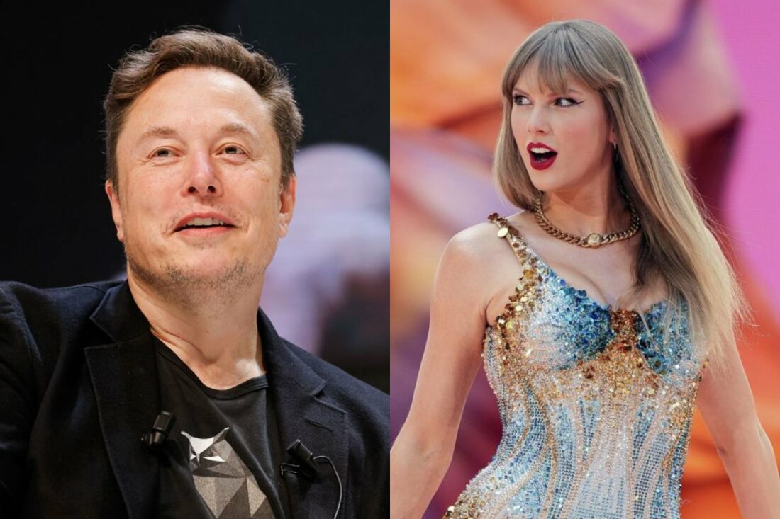 Elon Musk's offer to Taylor Swift: a child and cat-sitting?