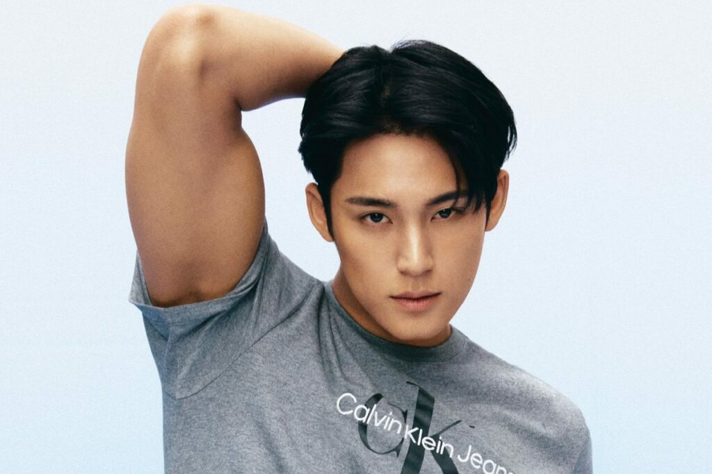 Mingyu's potato choice: SEVENTEEN's animated characters provoke reactions!