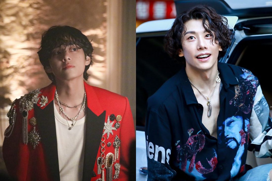 BTS' V and Park Hyo Shin melt hearts in new snowy photos