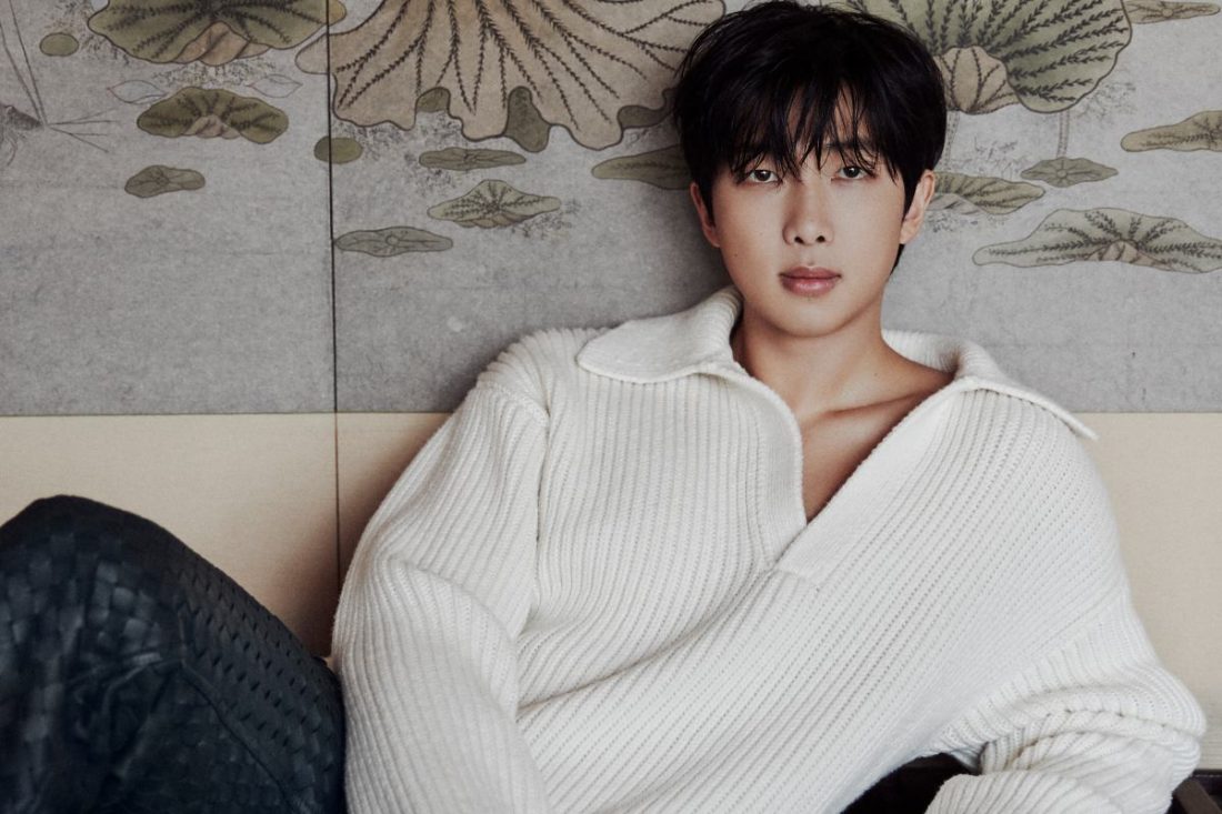 BTS' RM countdown: vibes for his 2025 military discharge year