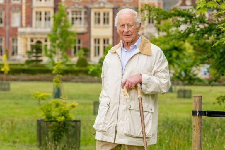 King Charles III celebrates his 77th birthday with a new portrait in ...