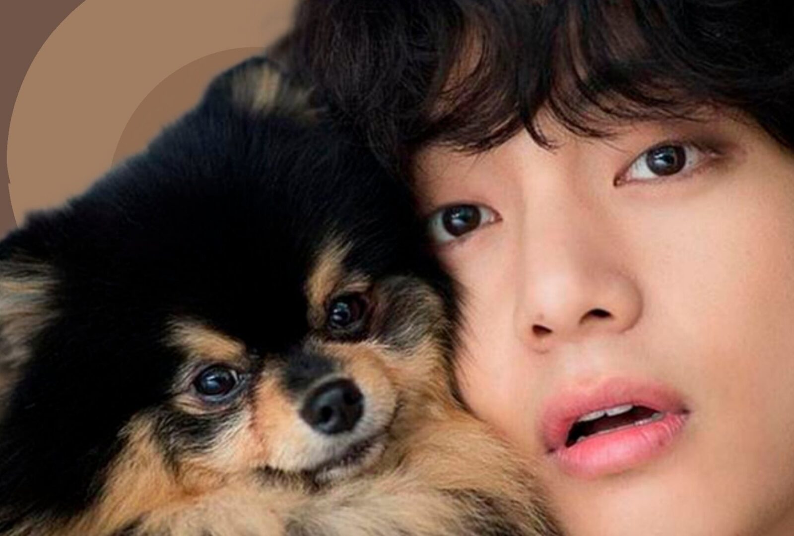 V de BTS pública fotografías con su mascota y enamora a ARMY