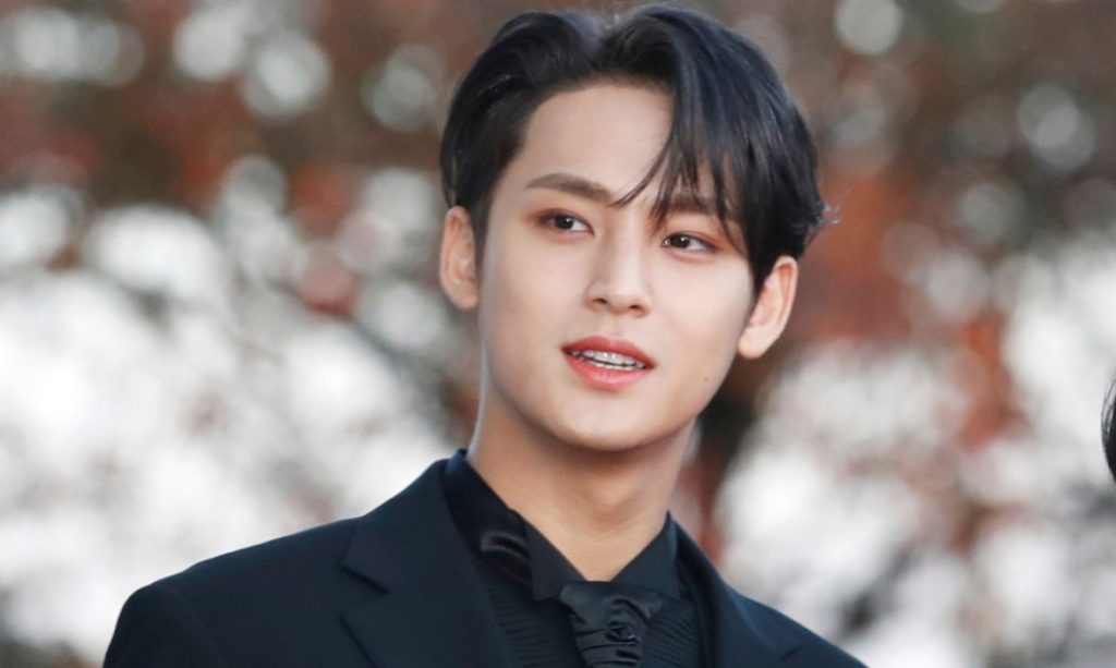 Mingyu de SEVENTEEN causó controversia tras pedirle un beso a una fan