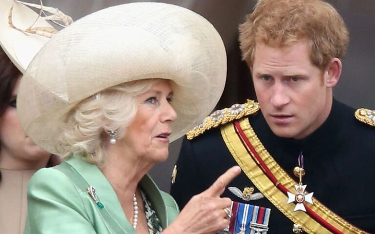 Asi es la pesima relacion entre el príncipe Harry y la reina consorte ...