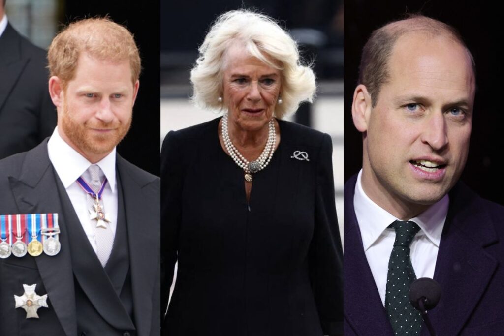 El príncipe Harry y William harán lo posible para que la nueva Reina Camilla Parker abandone su ...