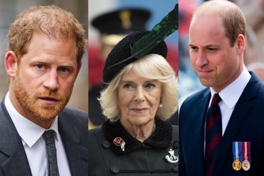 El príncipe Harry y William harán lo posible para que la nueva Reina ...