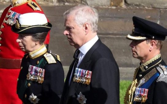 Conozca quienes son los miembros de la realeza británica más ...