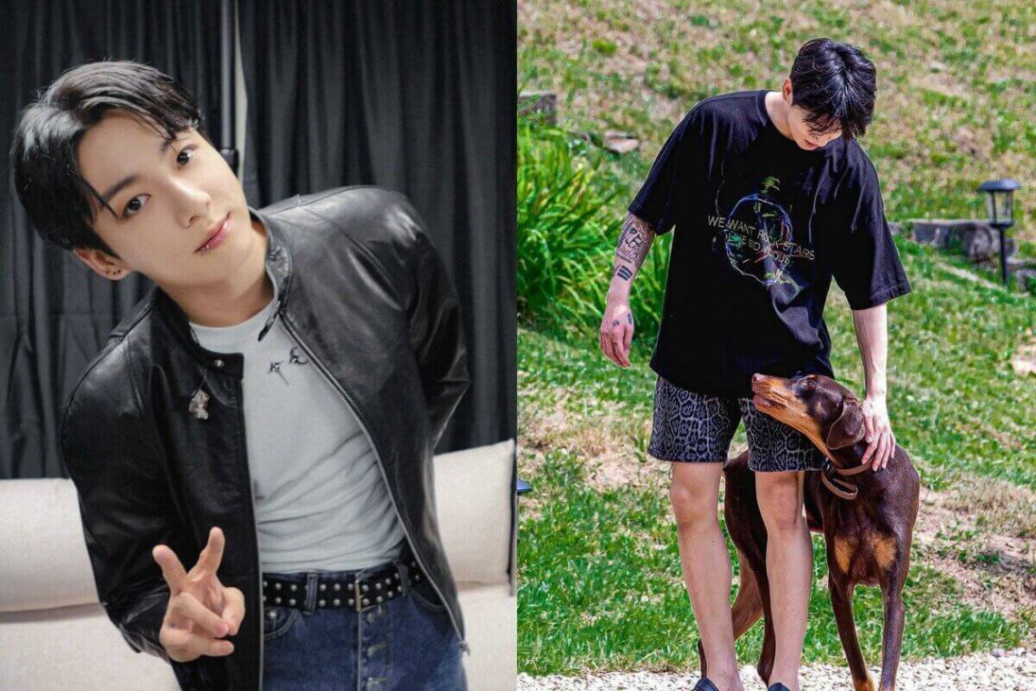 El emotiva despedida de Jungkook de BTS con su perrito Bam antes de ...