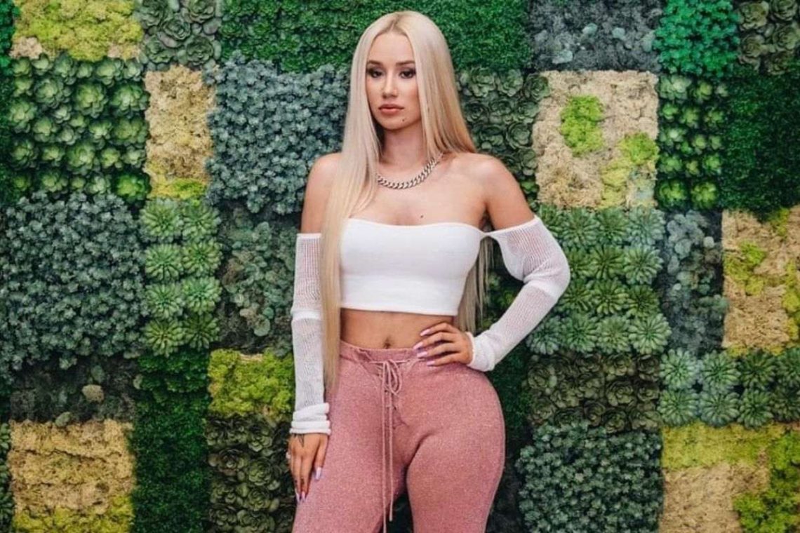 "No terminaré mi álbum": Iggy Azalea aparentemente se retira de la música