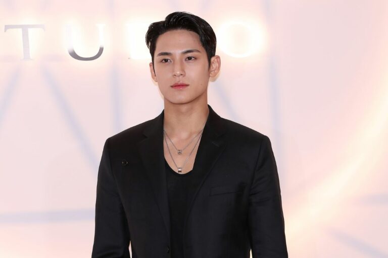 Mingyu de SEVENTEEN fue tocado inapropiadamente en el Lollapalooza ...