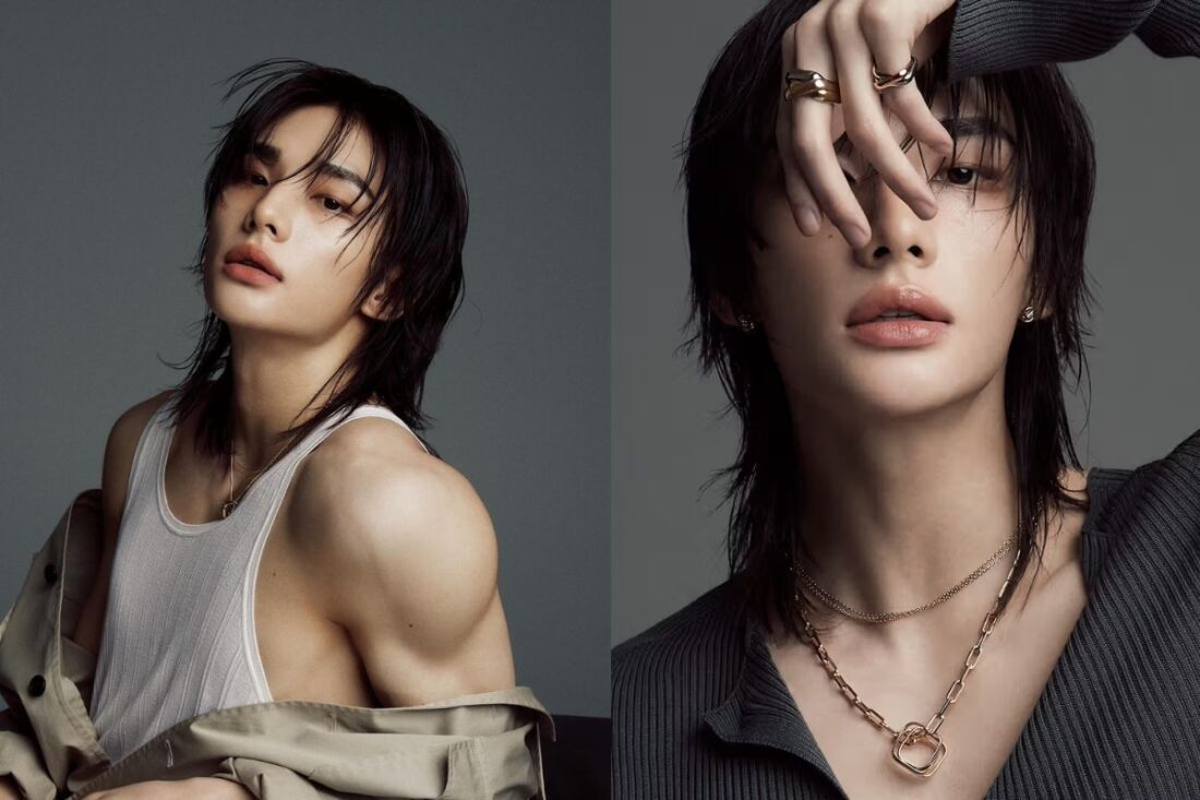 Hyunjin de Stray Kids y Mingyu de SEVENTEEN tienen encantadora ...